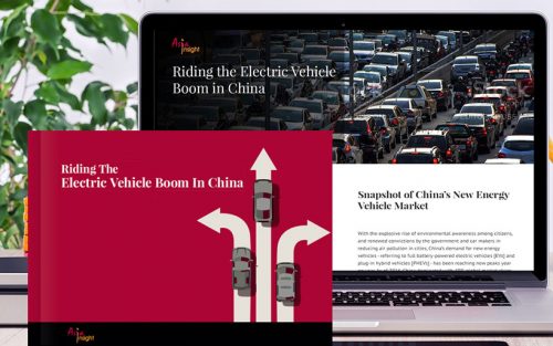 Asia Insight Website | Hashmeta